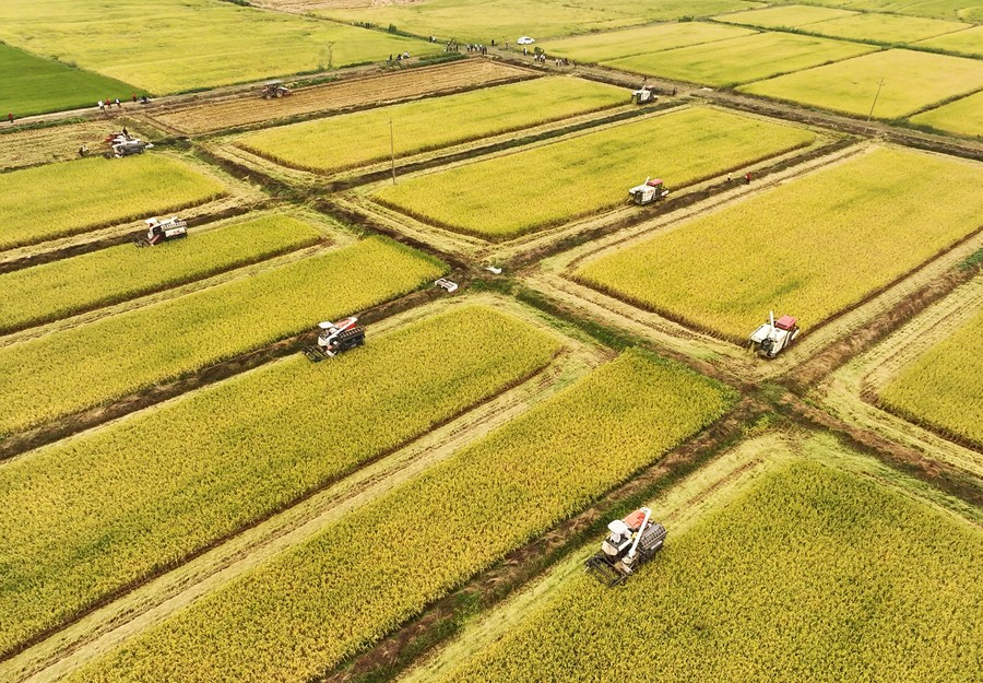 China melihat pinjaman berkaitan pertanian terkumpul meningkat ...