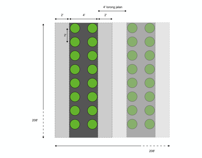 Mengira kepadatan pokok untuk tanaman – pertanian.my